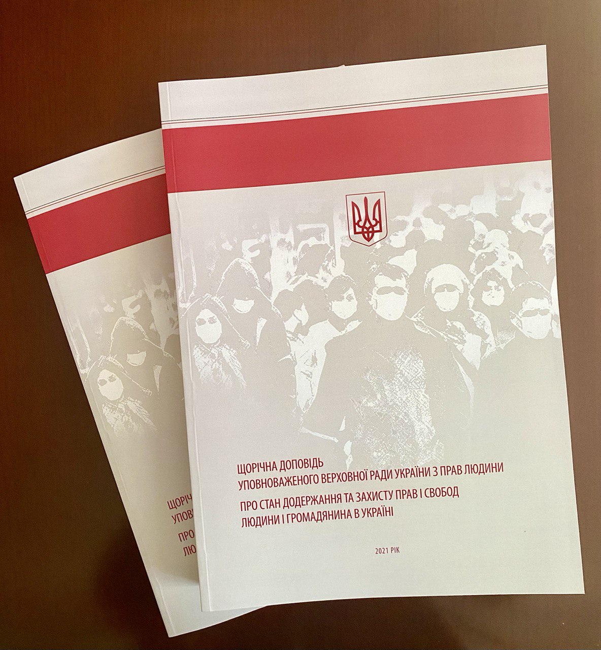 Уповноважений Верховної Ради України з прав людини Голові Верховної Ради України подано