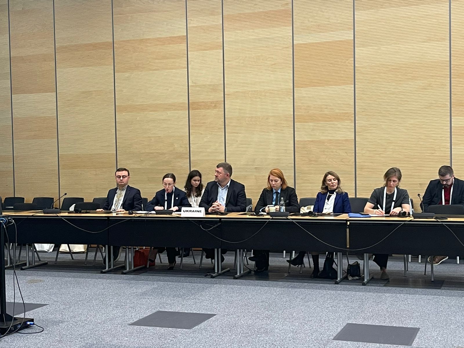 Уповноважений Верховної Ради України з прав людини Представниця